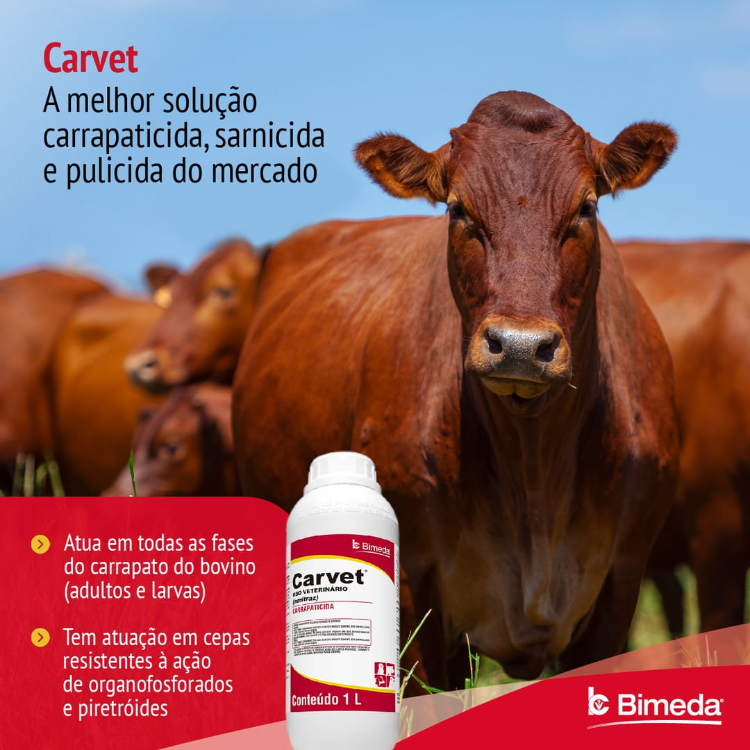 Ectoparasiticida Carvet Bimeda 1 Litro - Alvorada